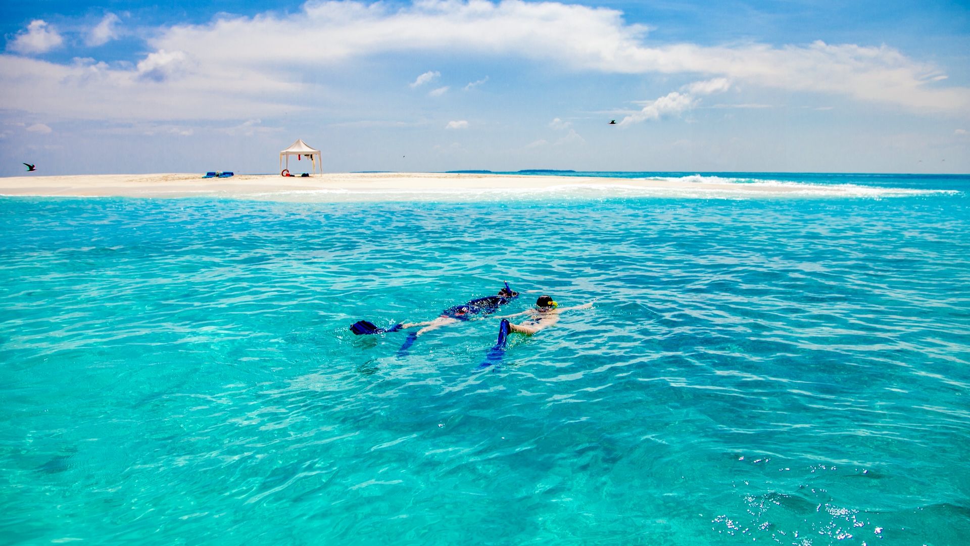 manafaru.bestdivesmaldives.com - BestDivesMaldives