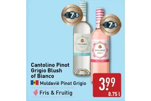 Cantolino Pinot Grigio Bianco - Beste.nl