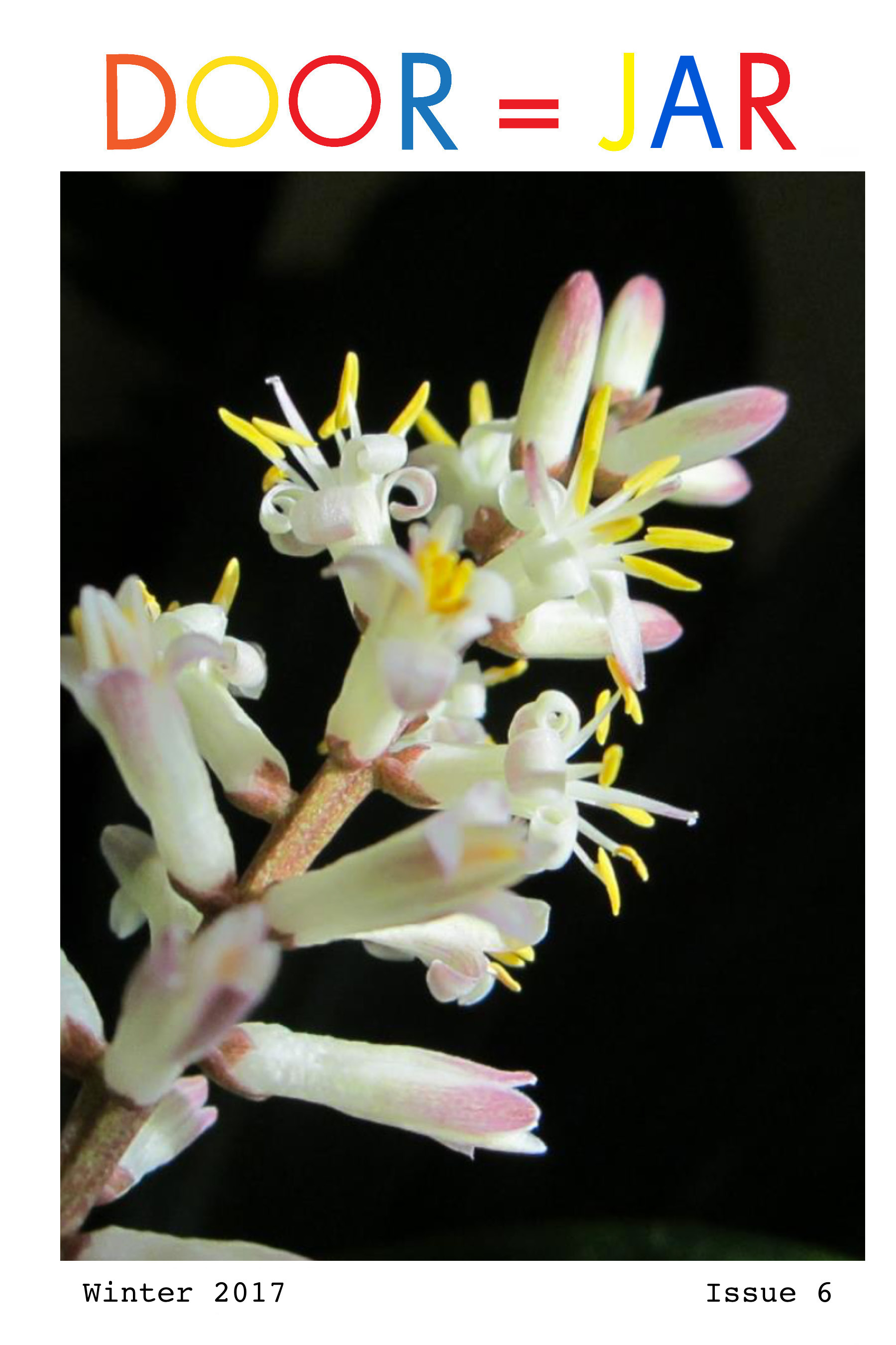 Winter 2017 | Door Is A Jar Literary Magazine