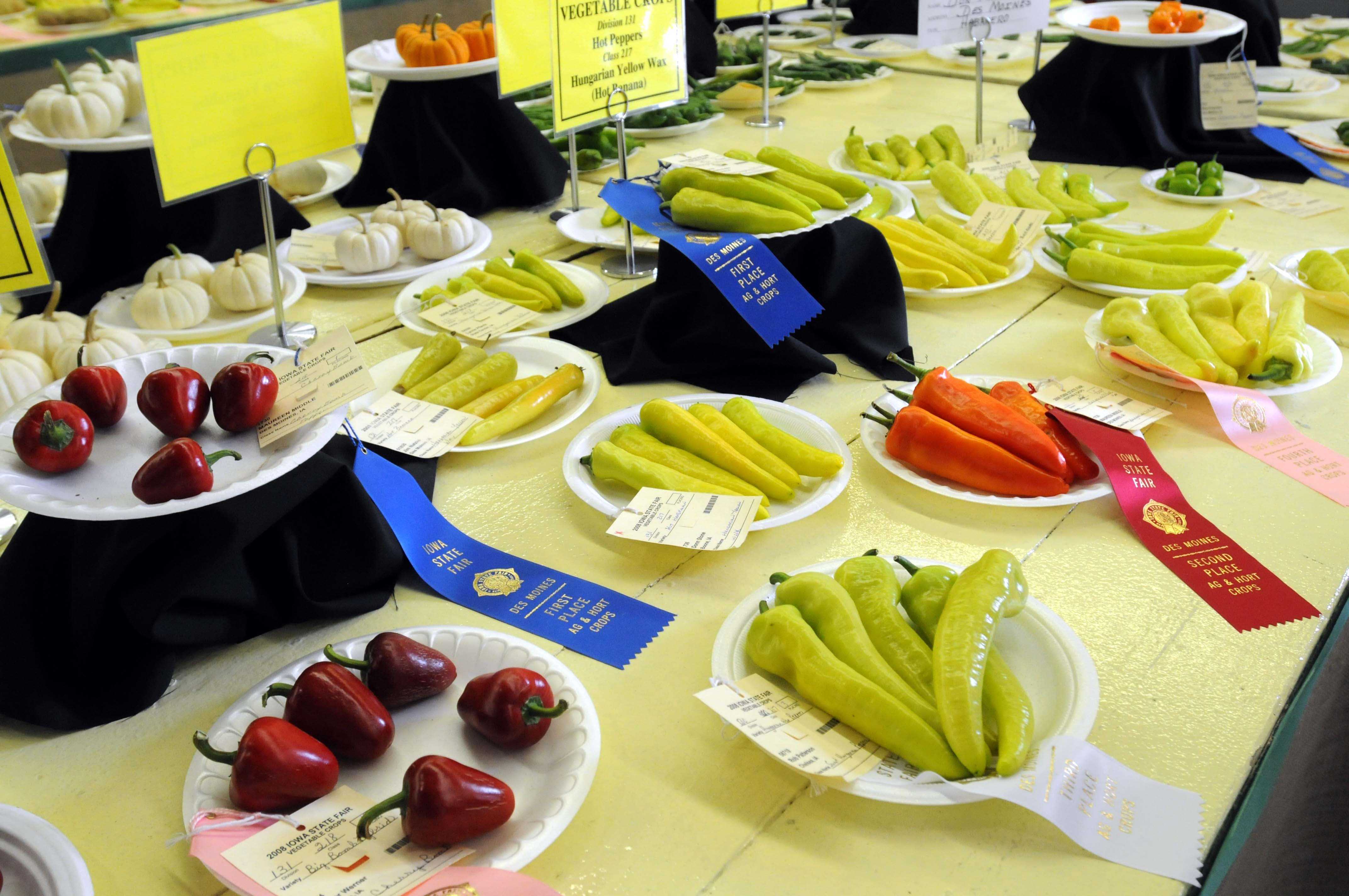 Iowa State Fair | Fair Image Library