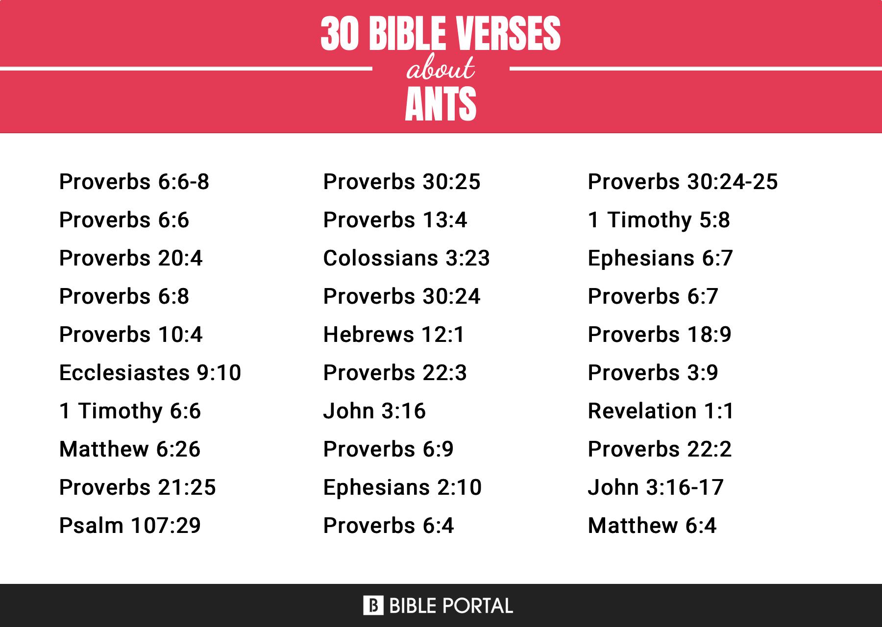 33 Bible Verses about Ants
