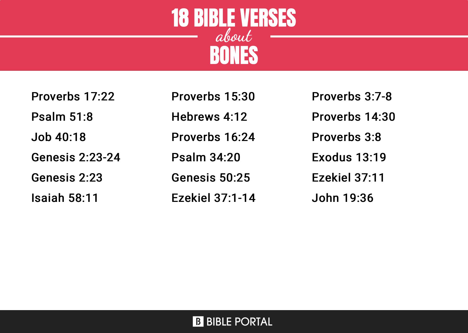 18 Bible Verses about Bones