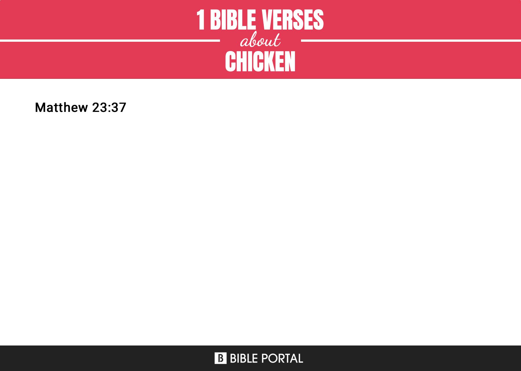 1 Bible Verses about Chicken?