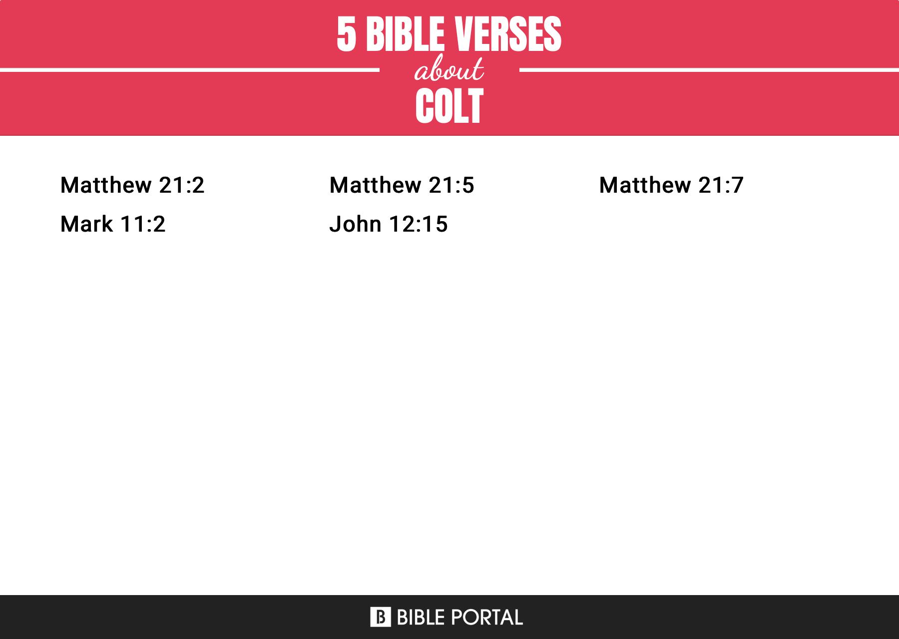 5 Bible Verses about Colt