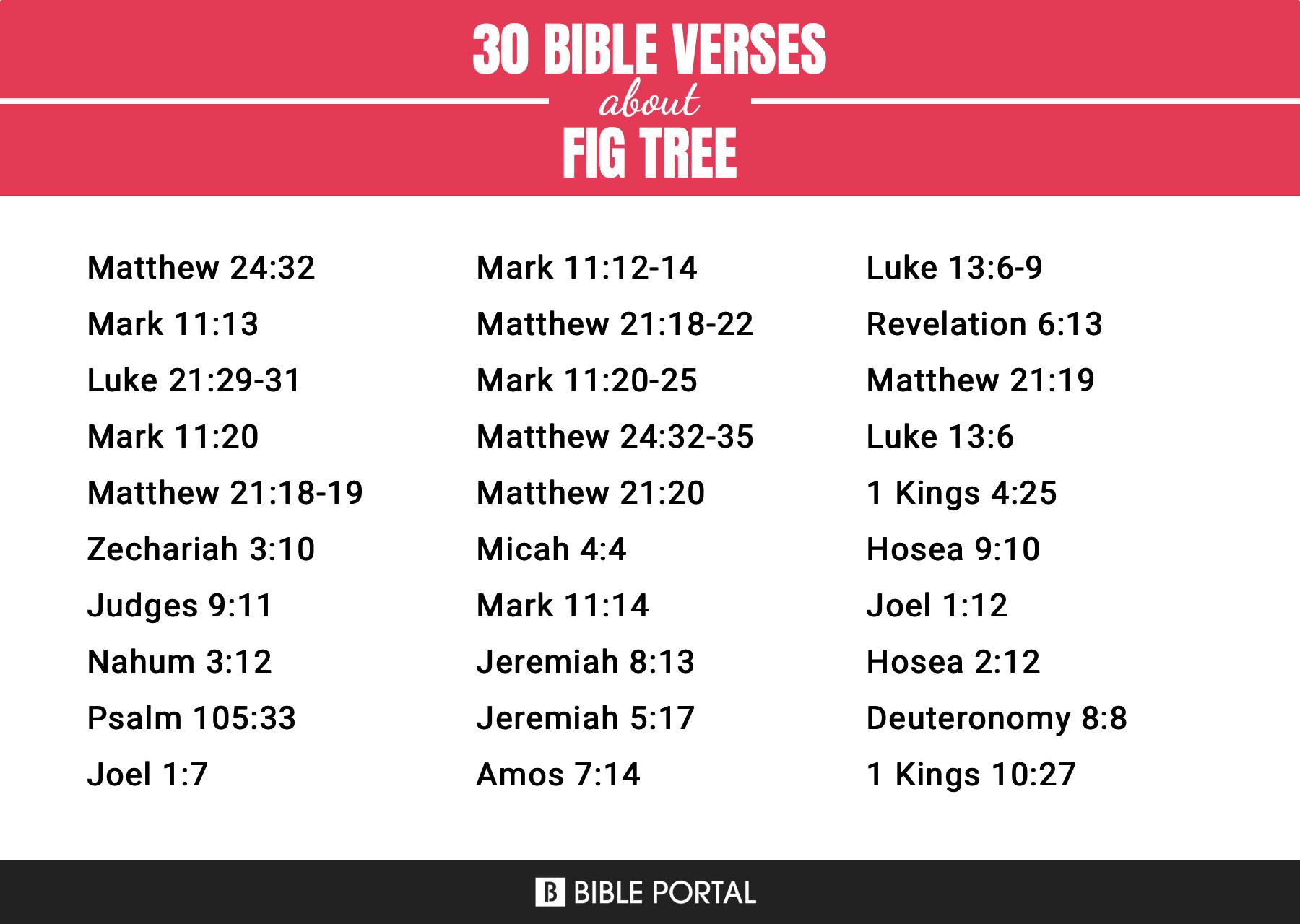 38 Bible Verses about Fig Tree