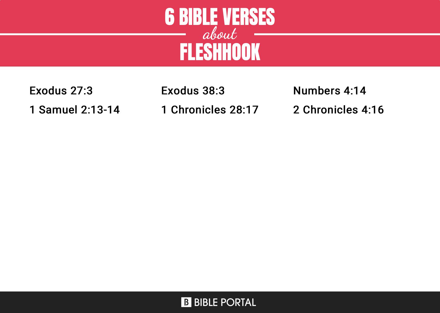 6 Bible Verses about Fleshhook