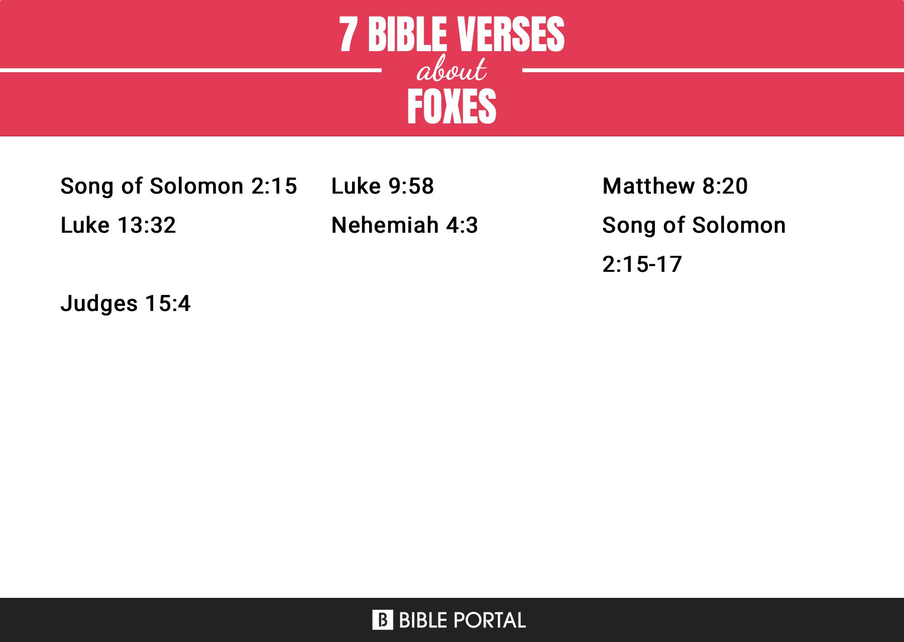 7 Bible Verses about Foxes