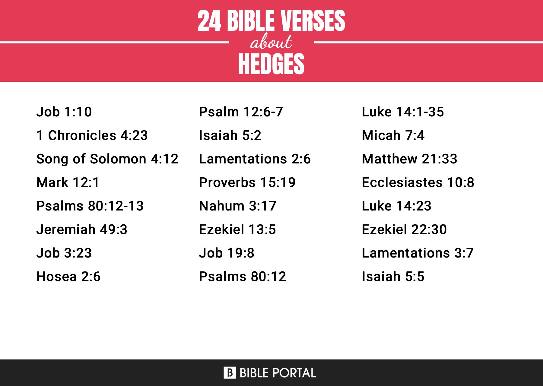 24 Bible Verses about Hedges