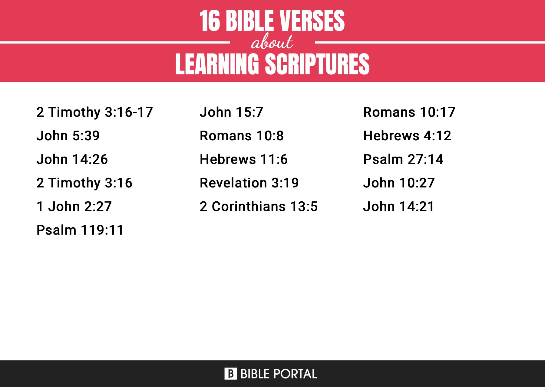 16 Bible Verses about Learning Scriptures
