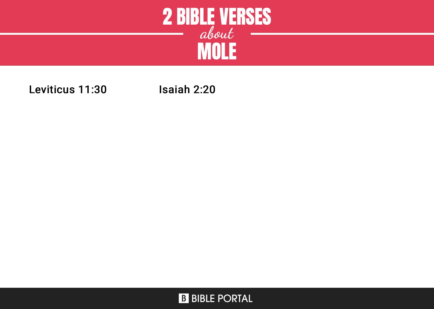 2 Bible Verses about Mole