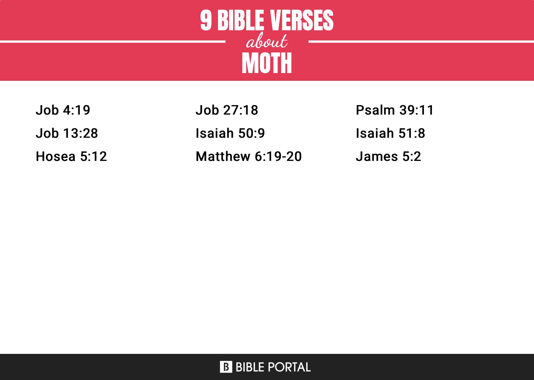 9 Bible Verses about Moth