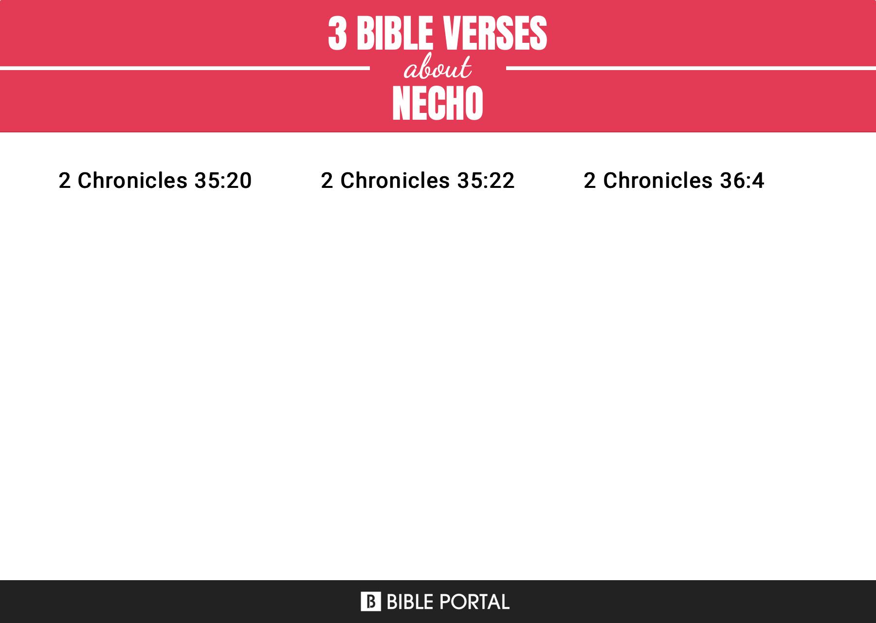 3 Bible Verses about Necho