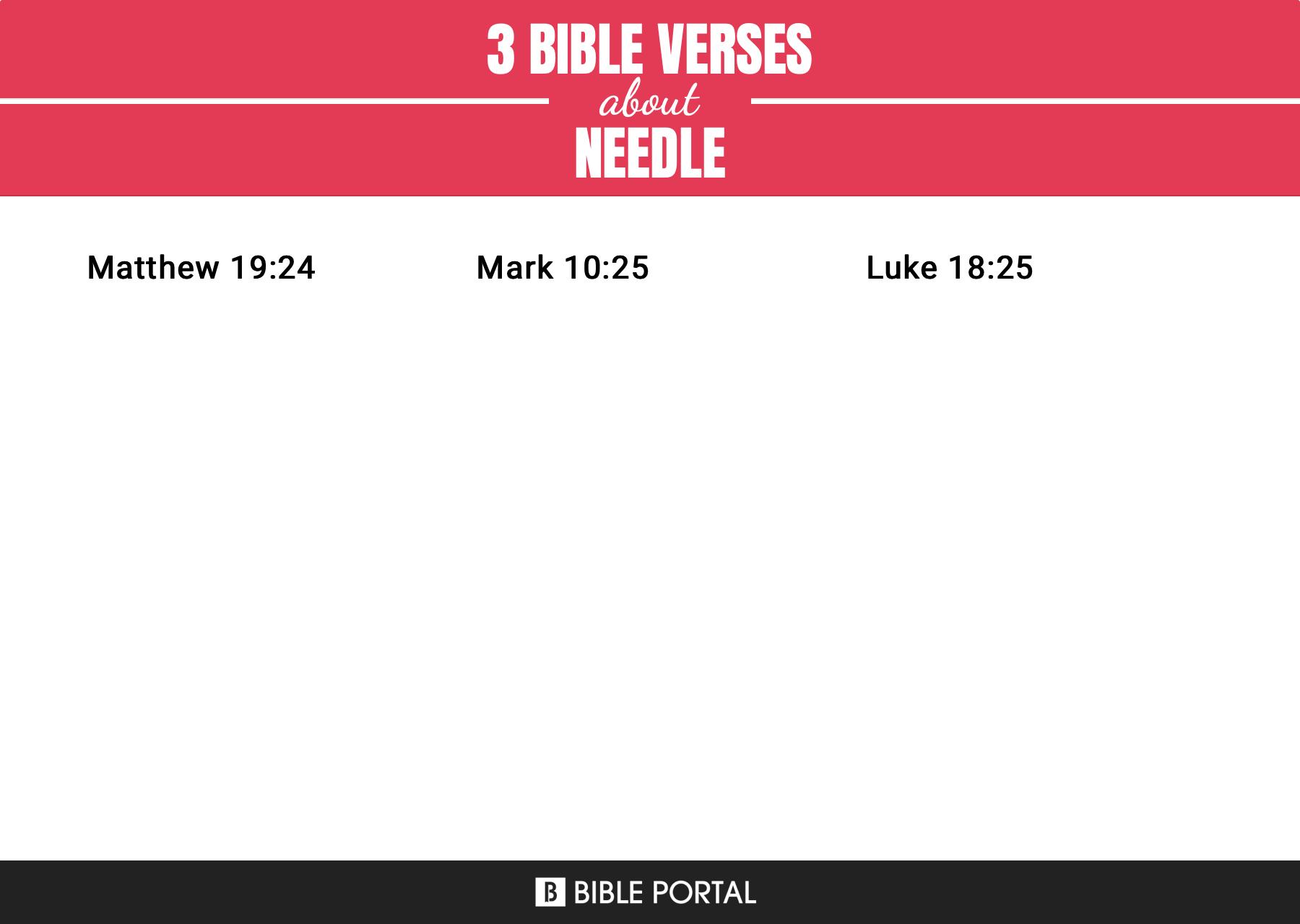 3 Bible Verses about Needle