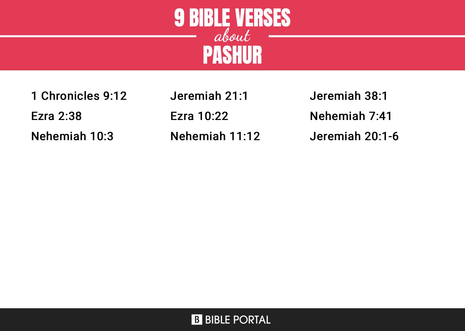 9 Bible Verses about Pashur