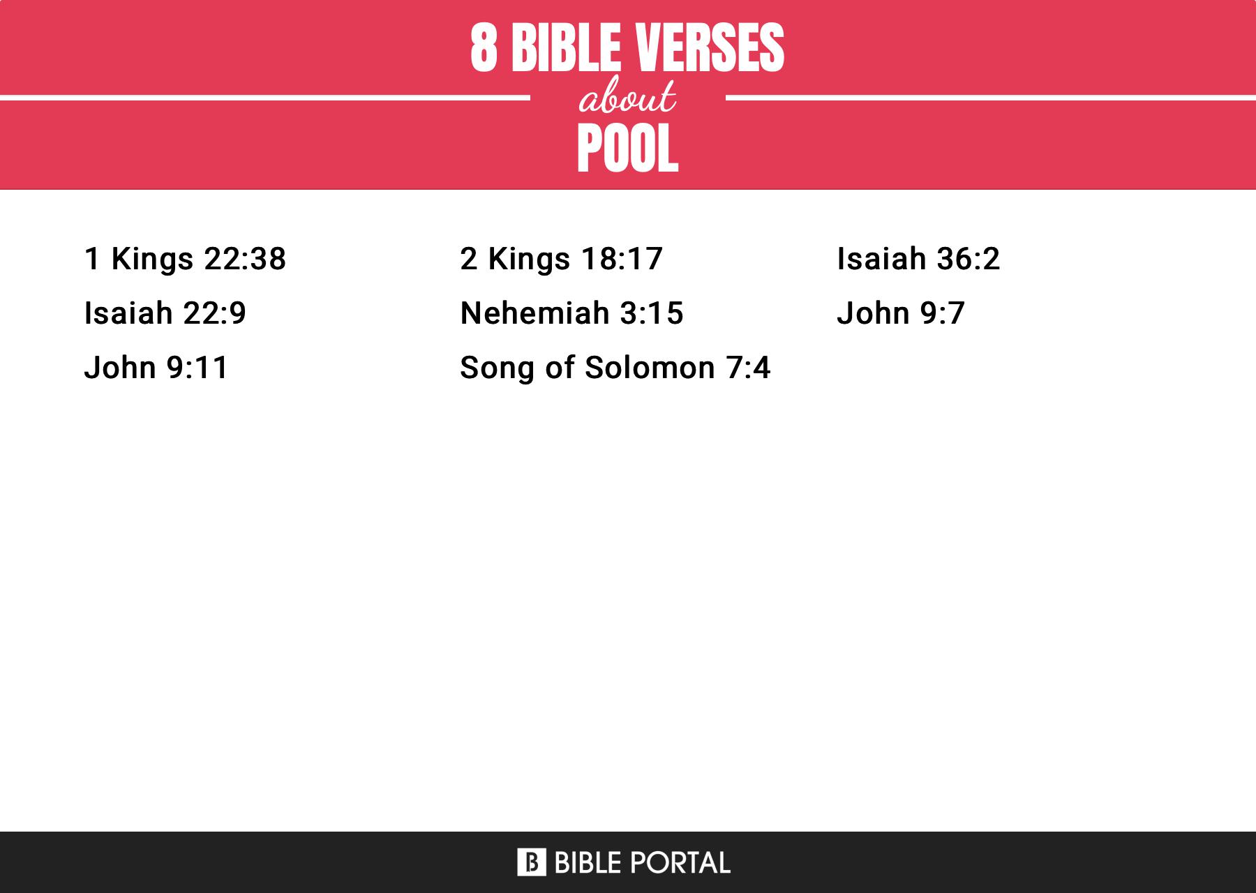 8 Bible Verses about Pool?
