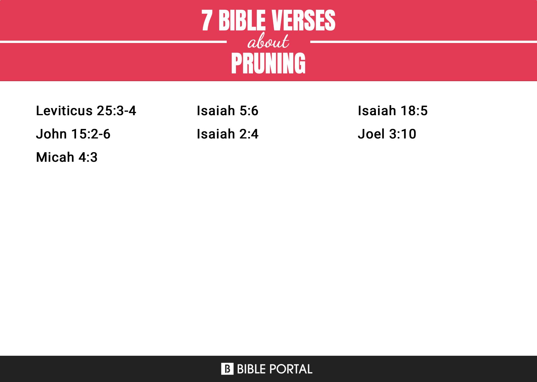 7 Bible Verses about Pruning