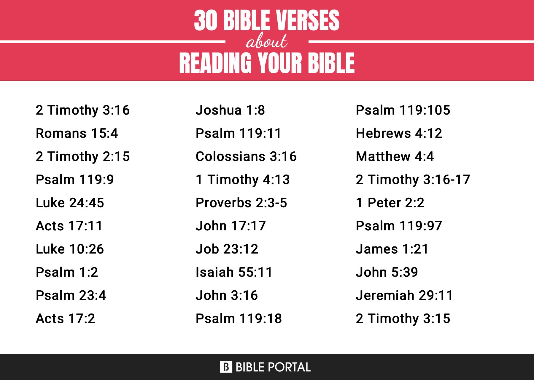 44 Bible Verses about Reading Your Bible