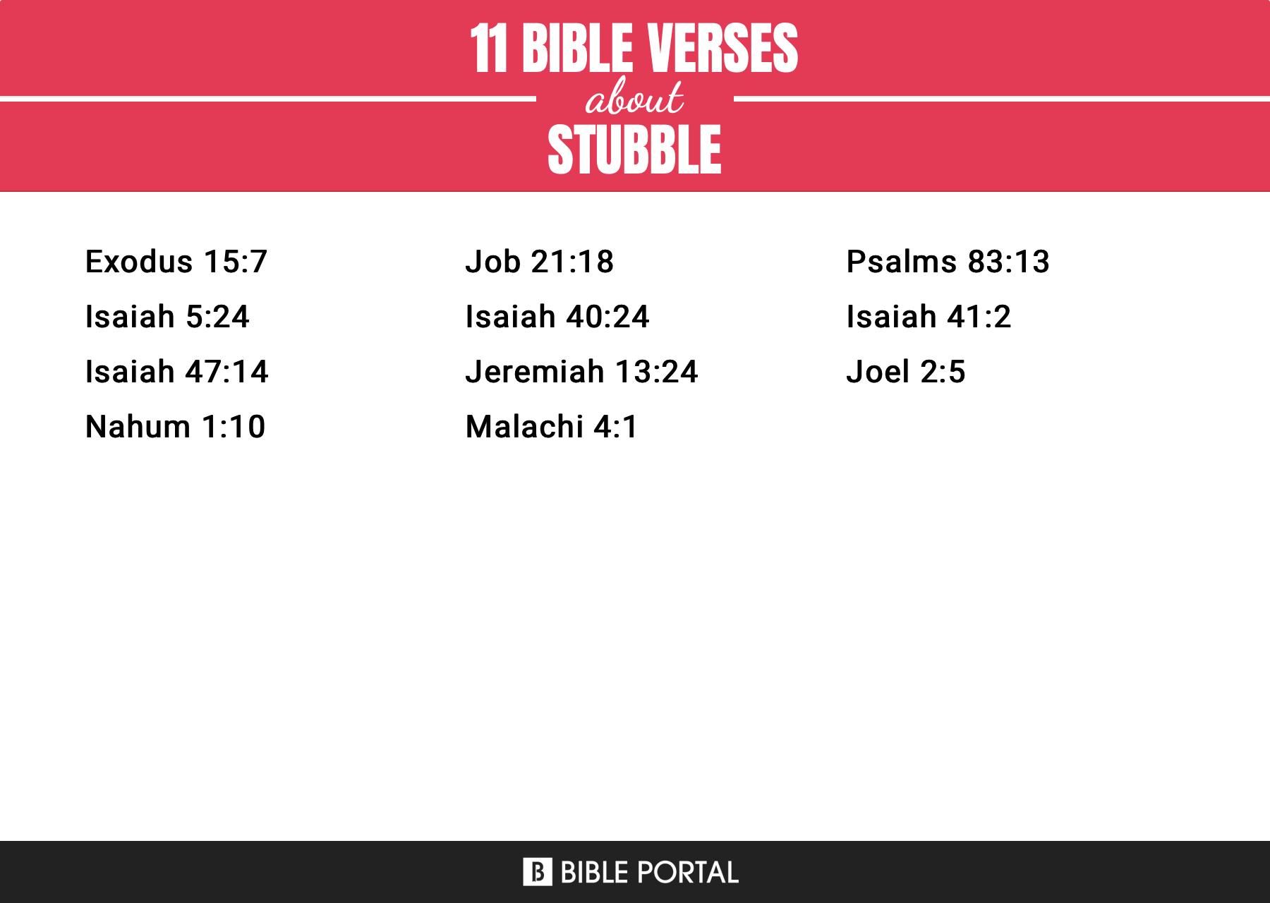 11 Bible Verses about Stubble