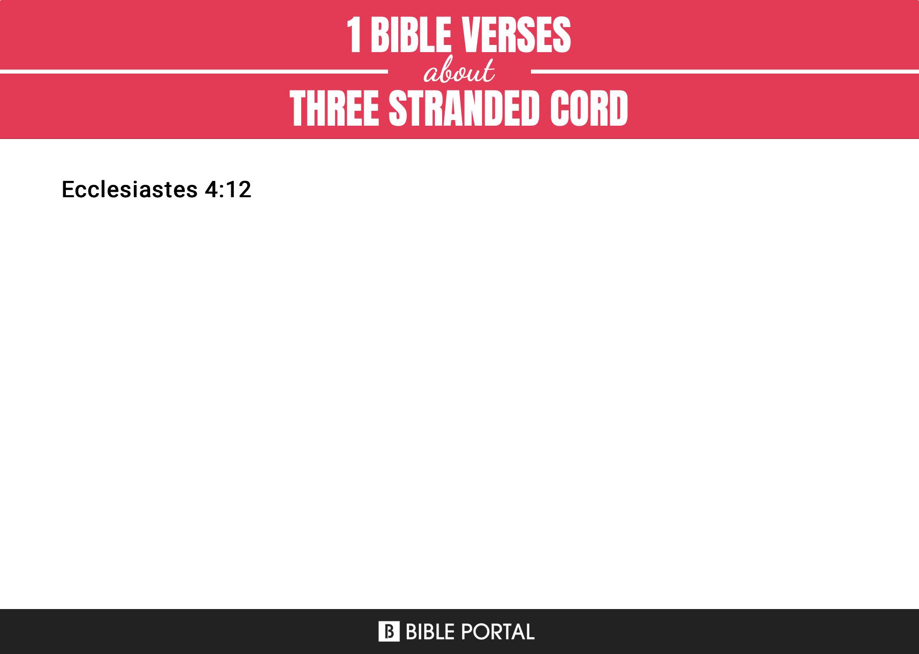 1 Bible Verses about Three Stranded Cord