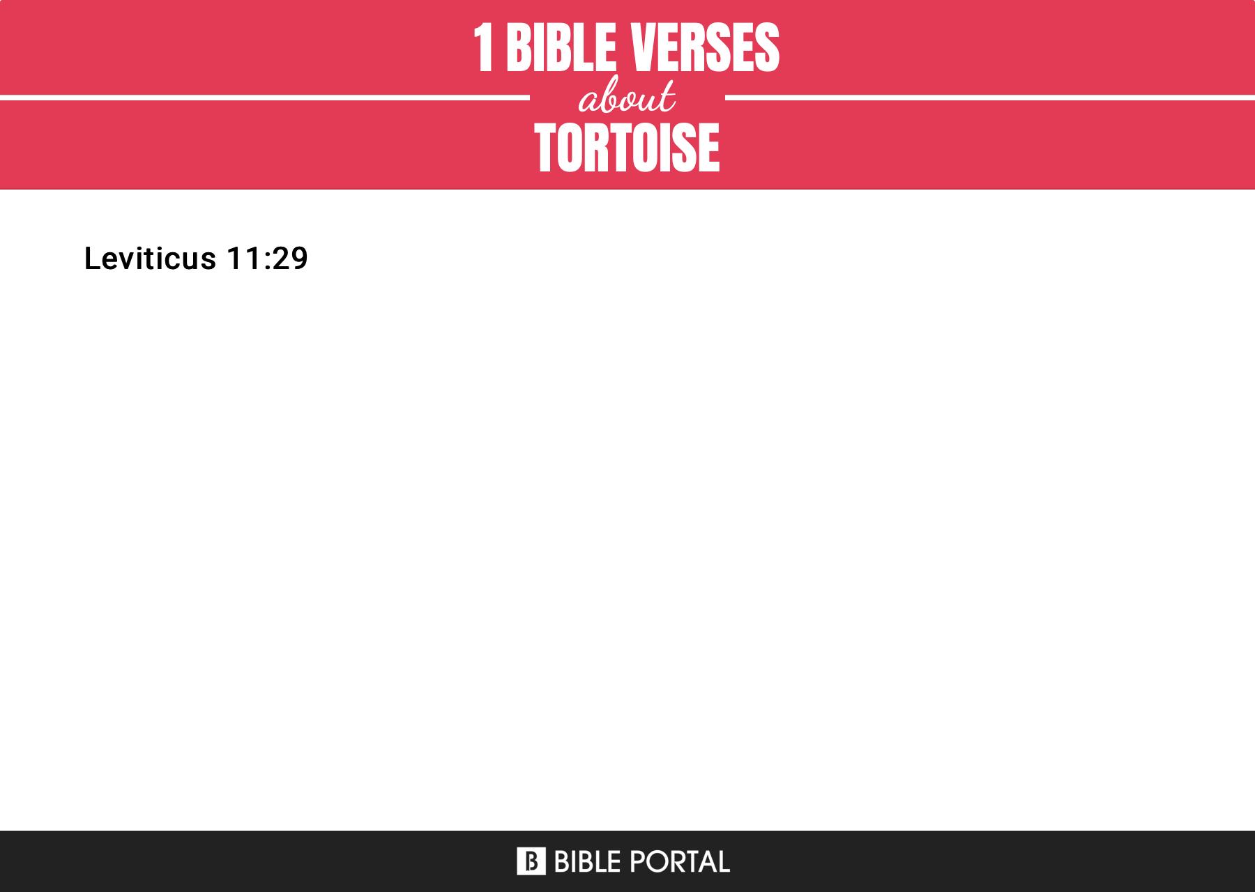 1 Bible Verses about Tortoise