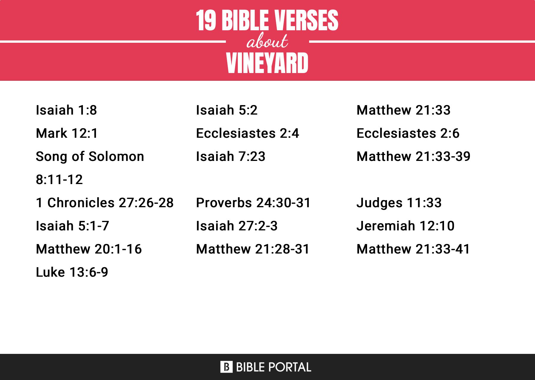 19 Bible Verses about Vineyard
