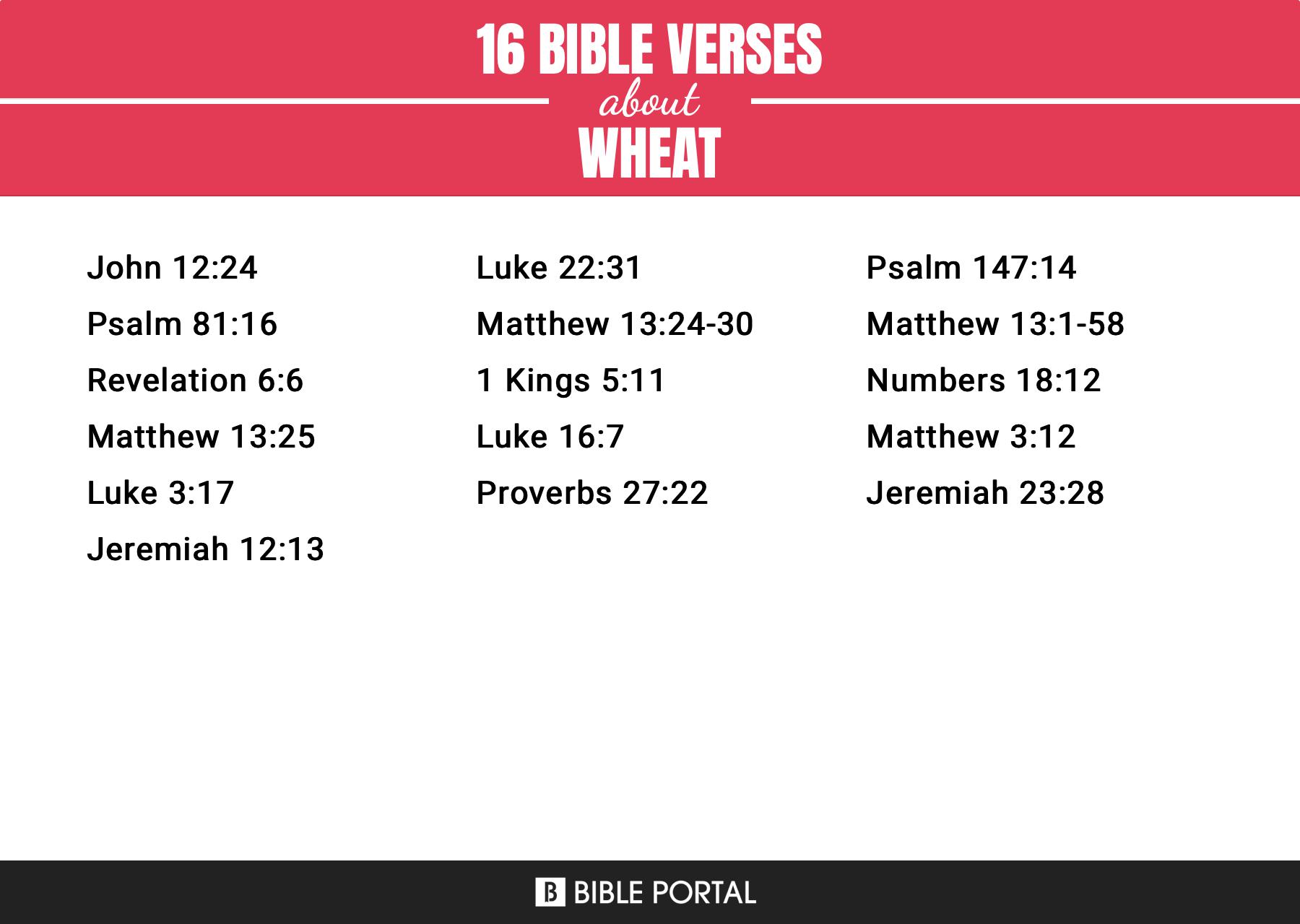 16 Bible Verses about Wheat