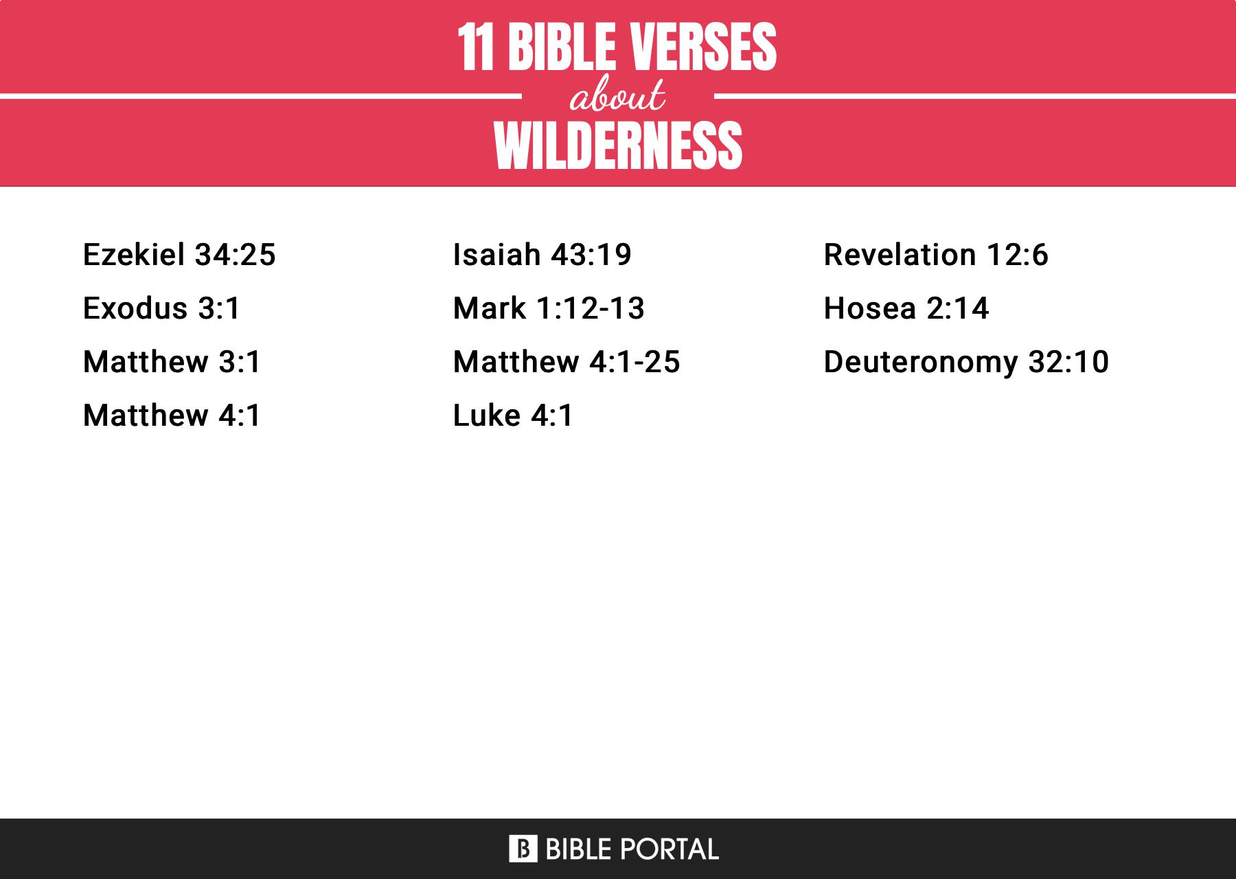 11 Bible Verses about Wilderness?