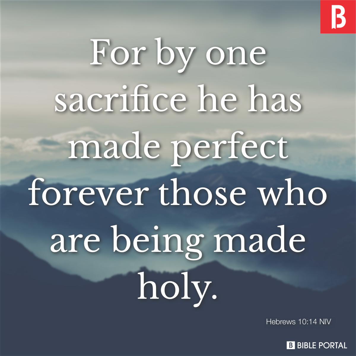 What Does the Bible Say about Imperfection? - page 2 What Does the Bible Say about Imperfection? - page 2