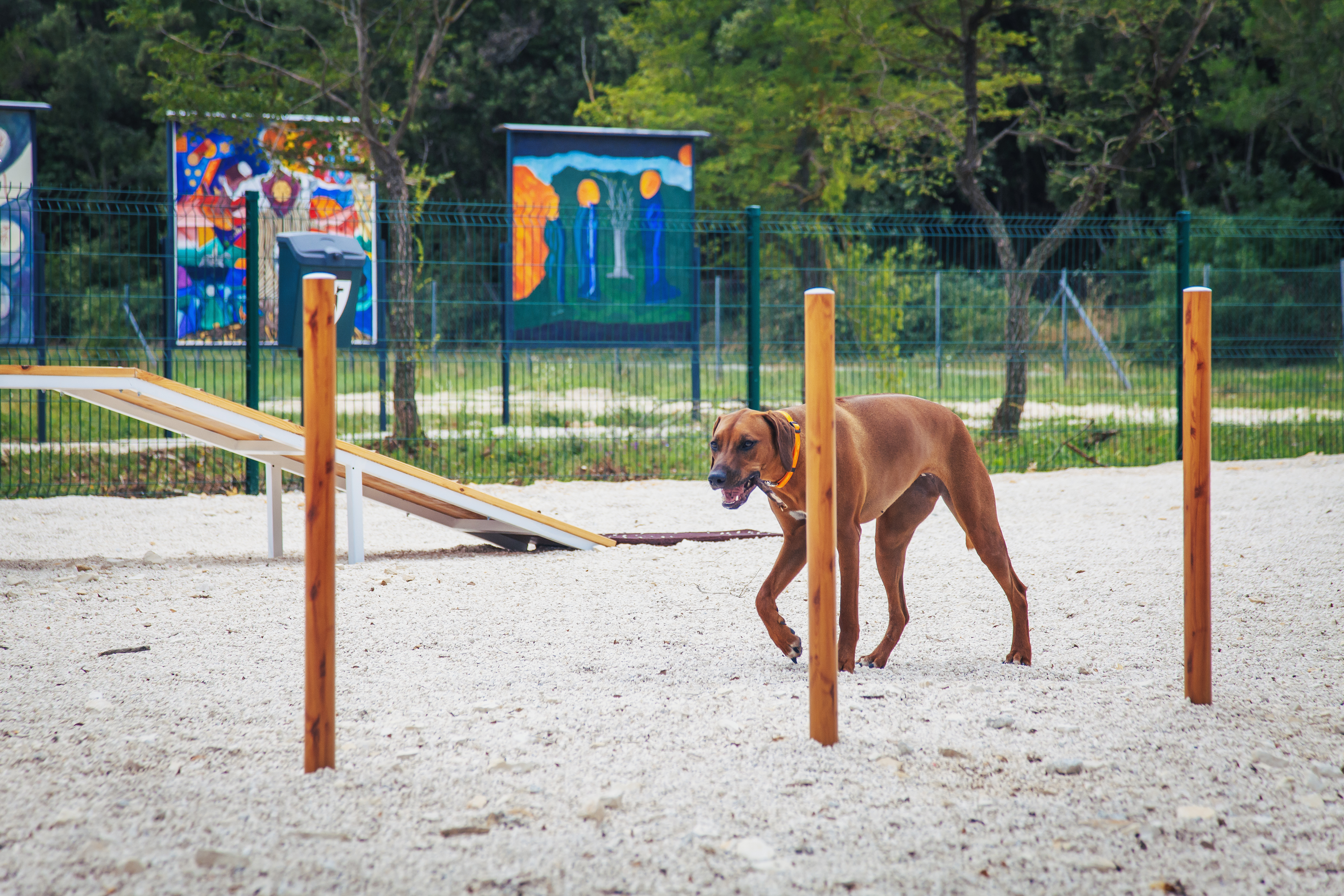 Pet-friendly resort | Experiences | Mon Perin