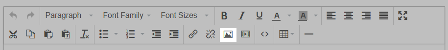 Using the WYSIWYG Editor
