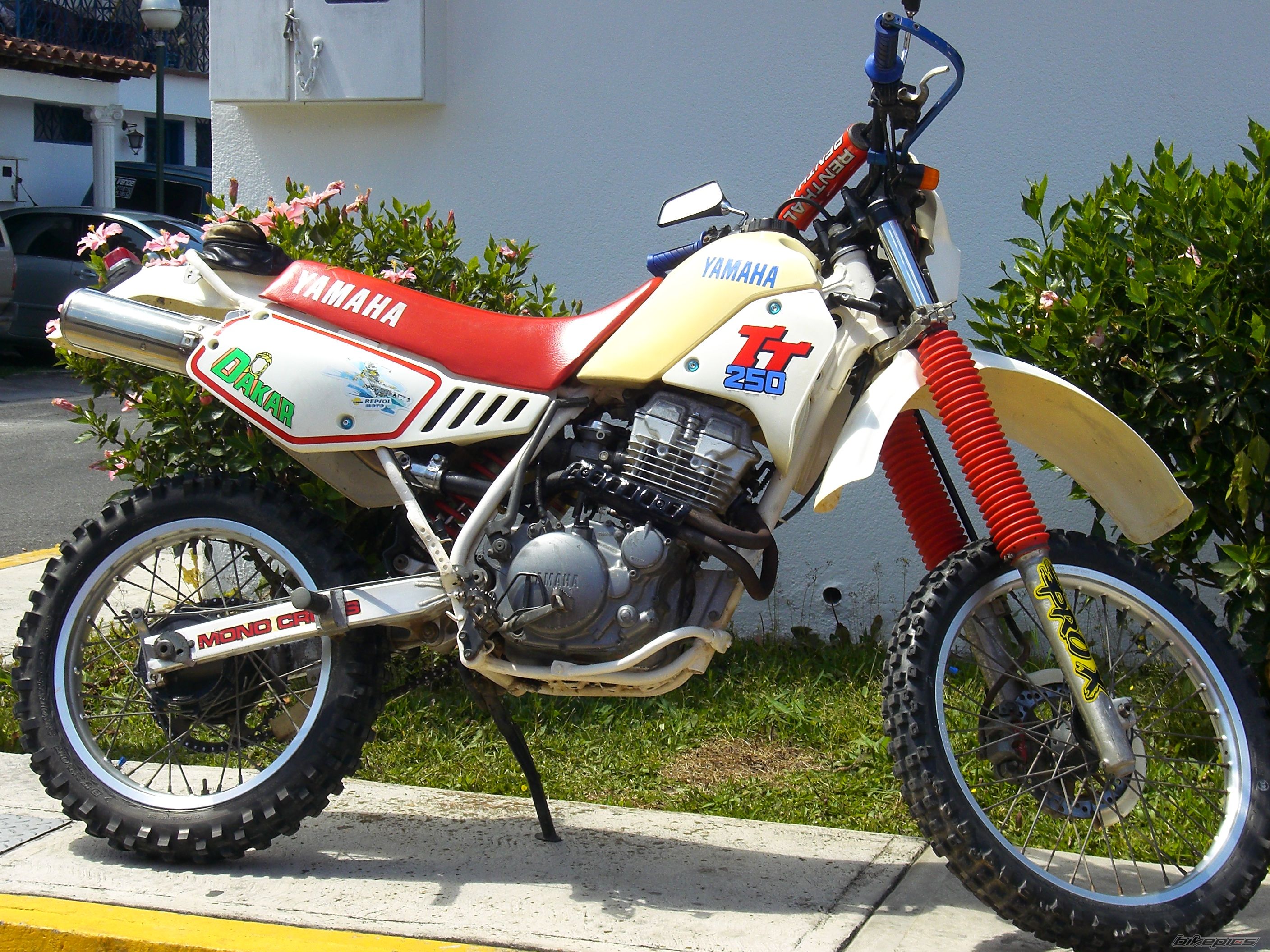 1991 YAMAHA TTR 250 | Picture 1384346