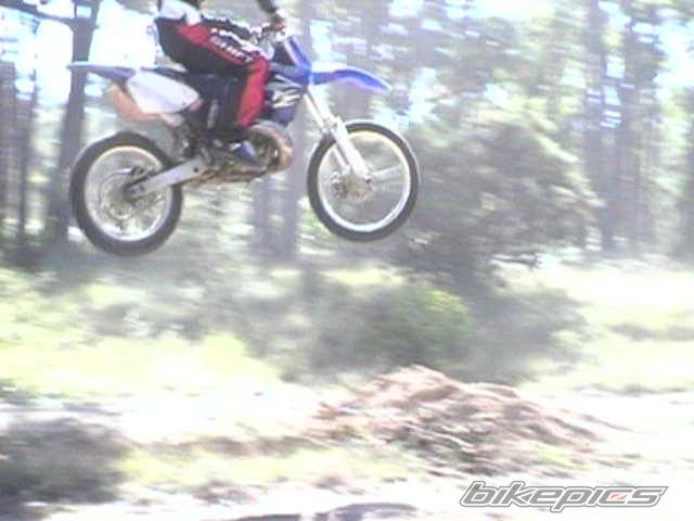 1999 YAMAHA YZ 250 | Picture 161816