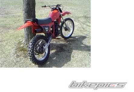 1983 HONDA XR 200 | Picture 1652720
