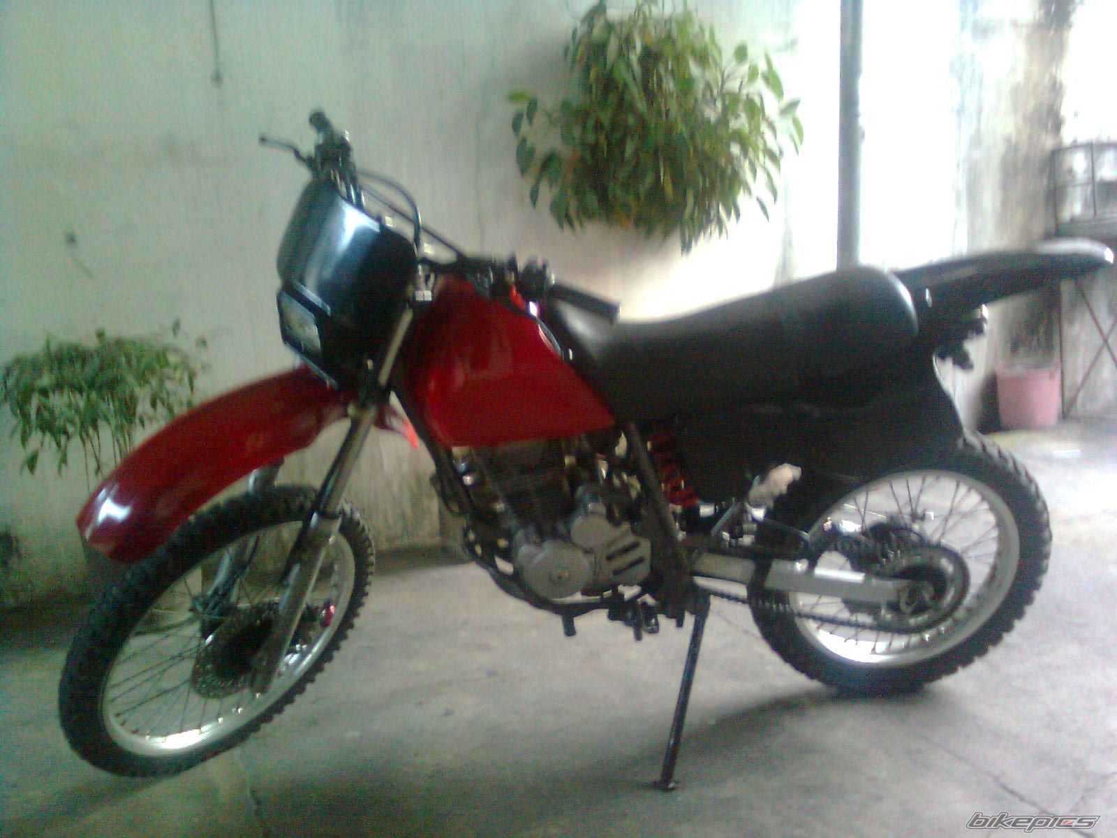 1999 HONDA XLR 200 | Picture 1684527