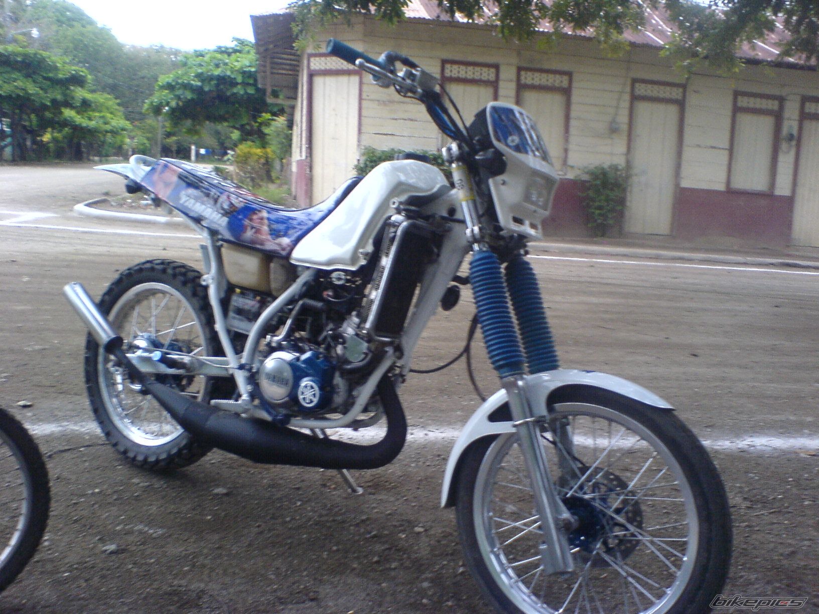 1900376 | Picture 1900376