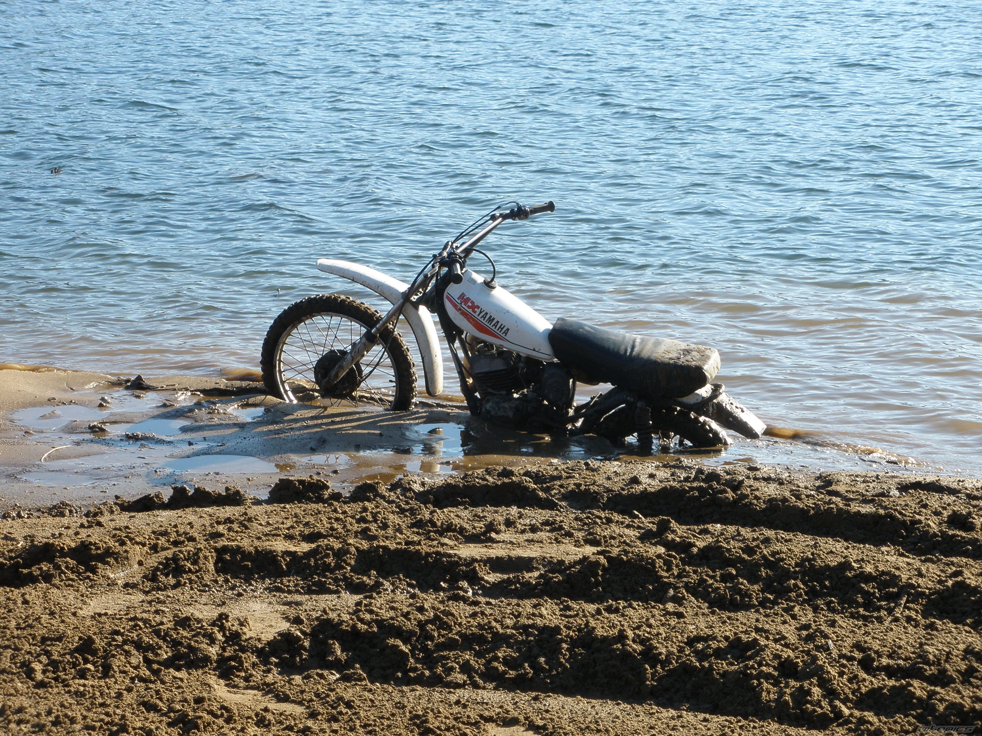 1981 YAMAHA MX 100 | Picture 1916129