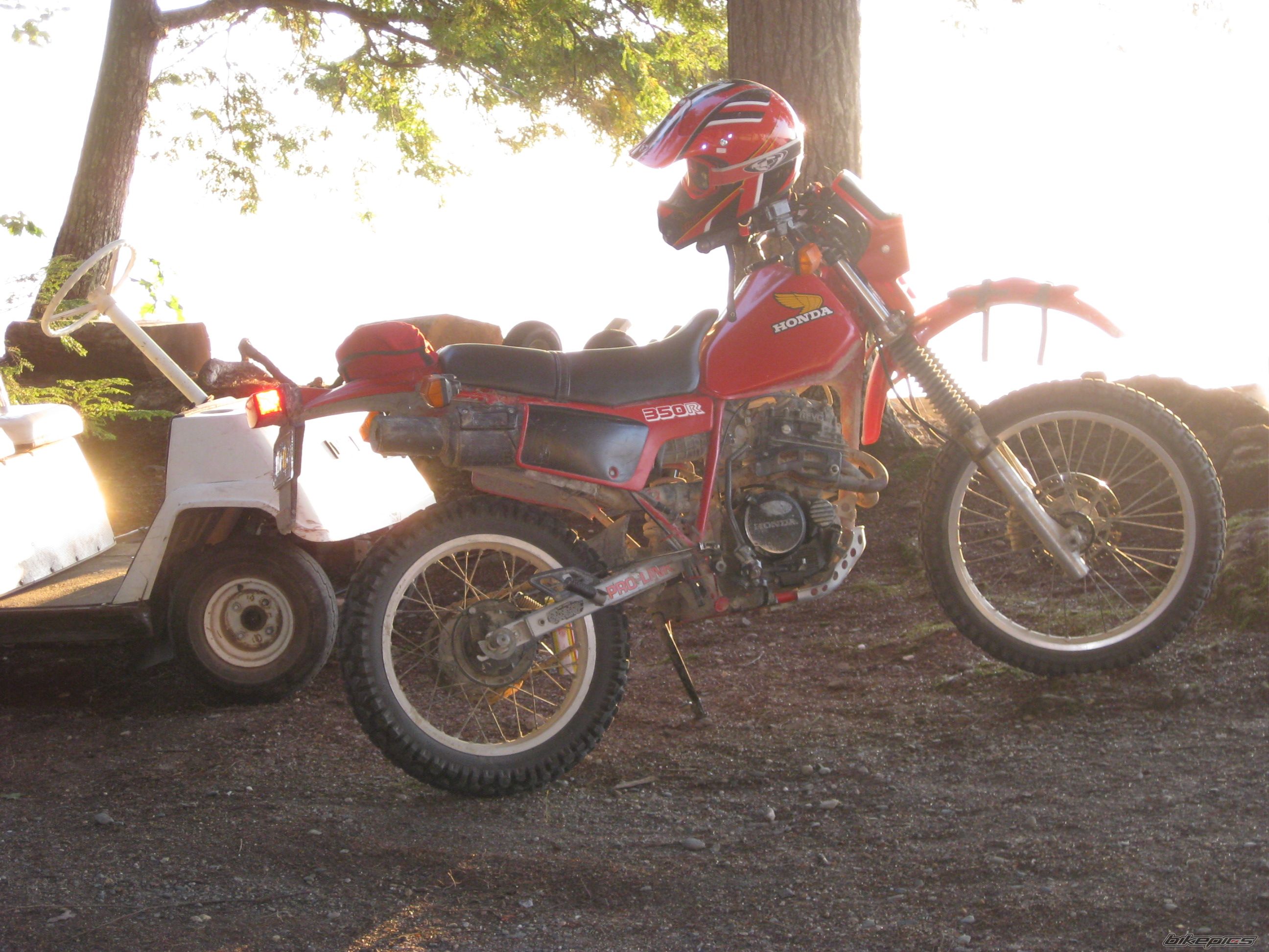 1984 HONDA XR 350 | Picture 2057133