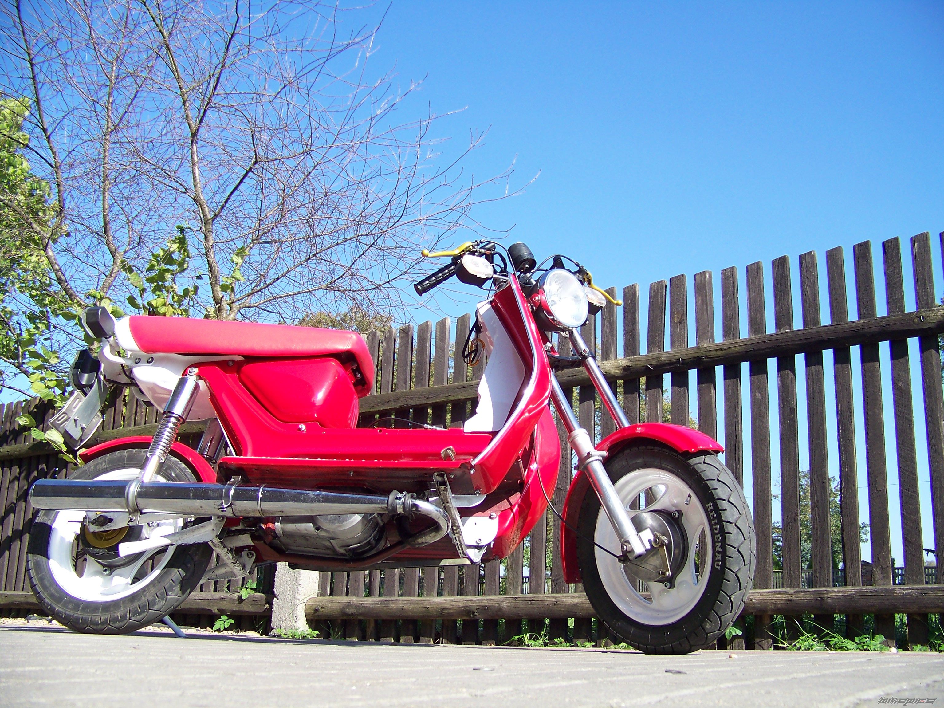 2010 SIMSON SR 50 | Picture 2083268