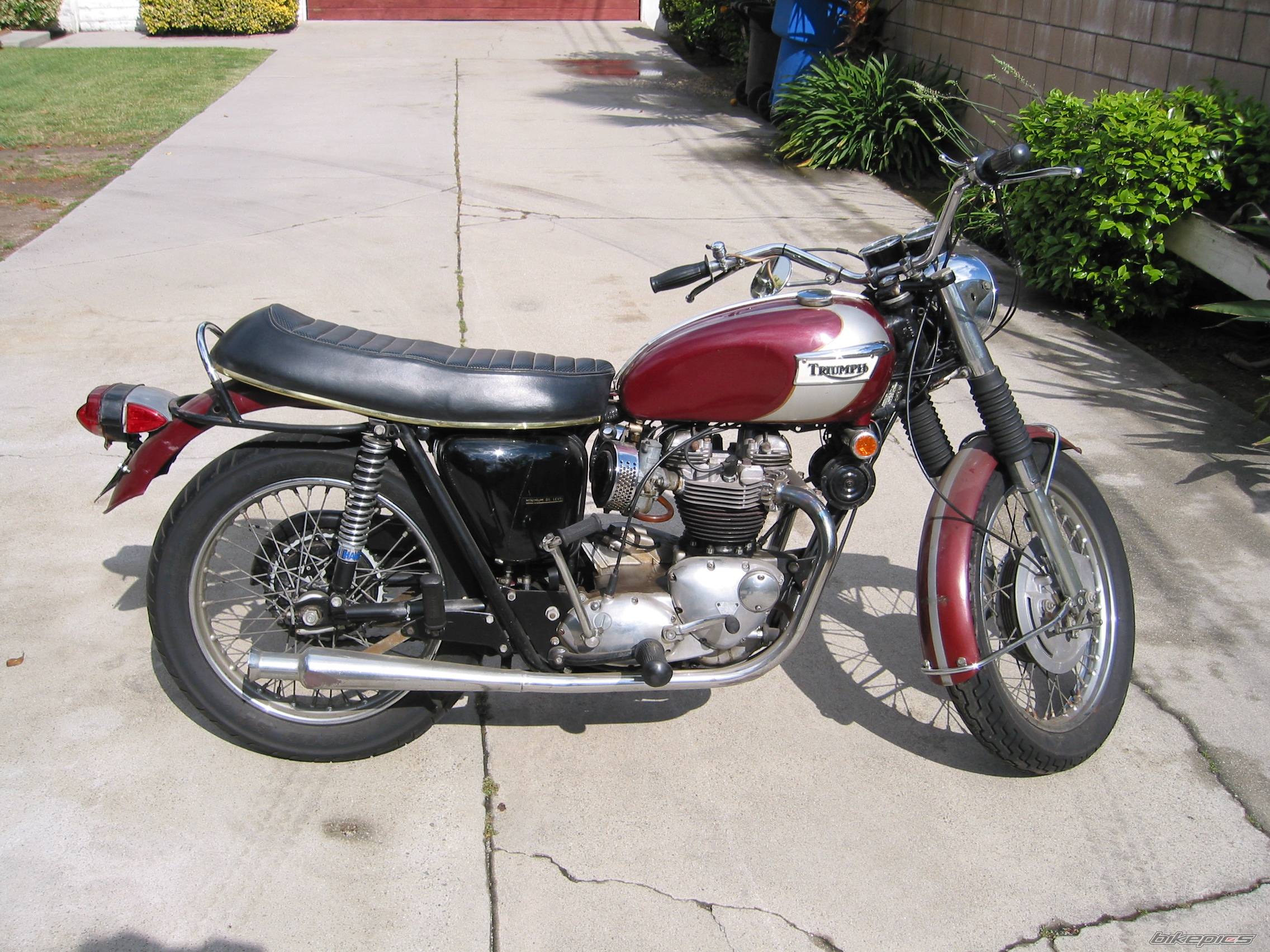 232774 | Picture 232774