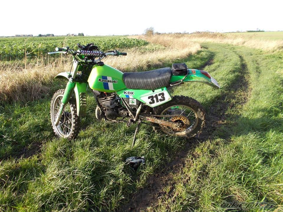 1983 KAWASAKI KDX 250 | Picture 2769467