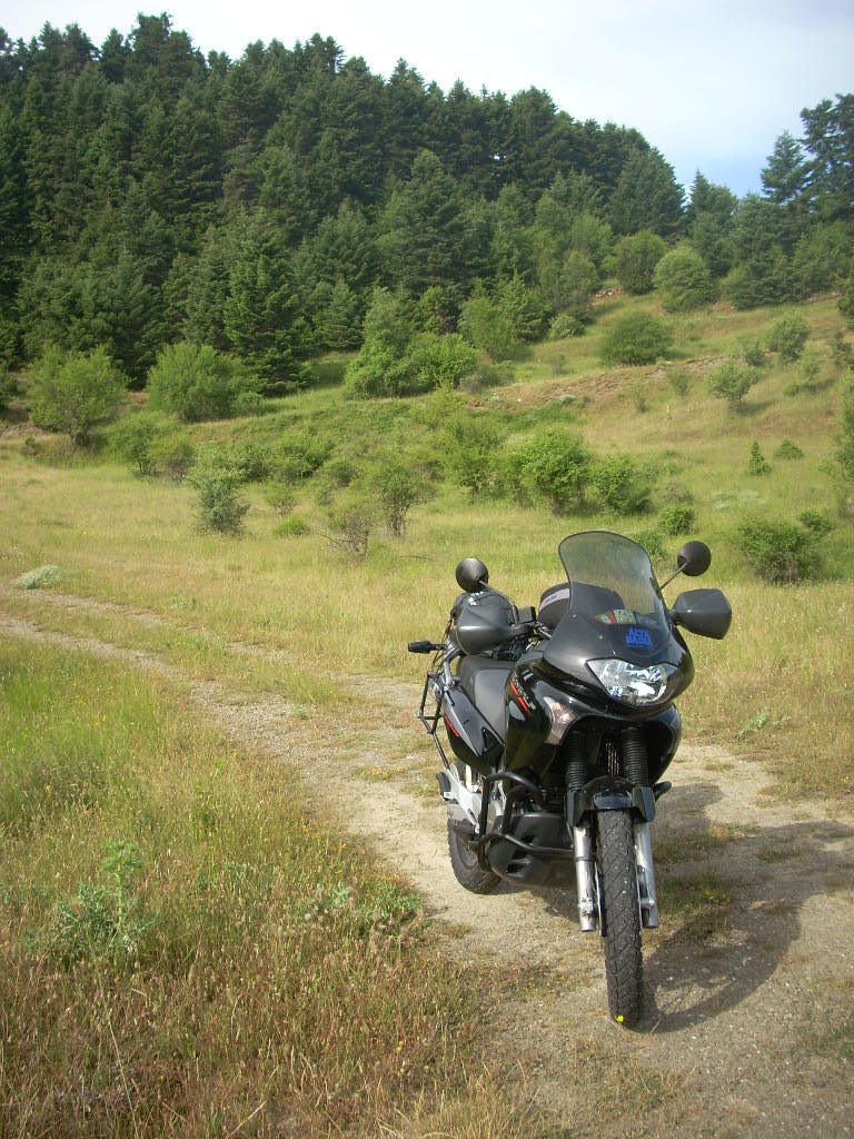 2007 HONDA TRANSALP RALLY TOURING | Picture 2793684