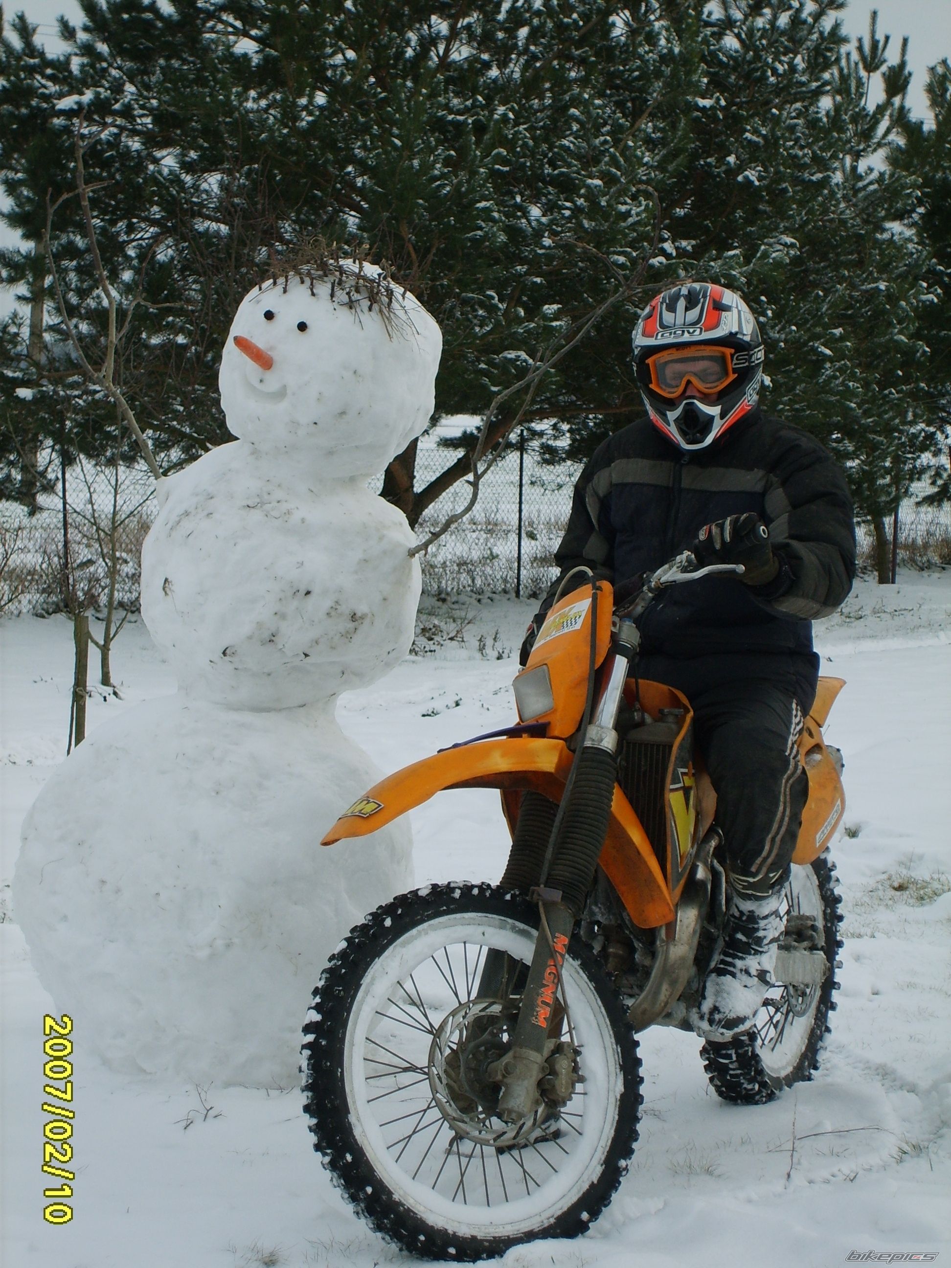 800655 | Picture 800655