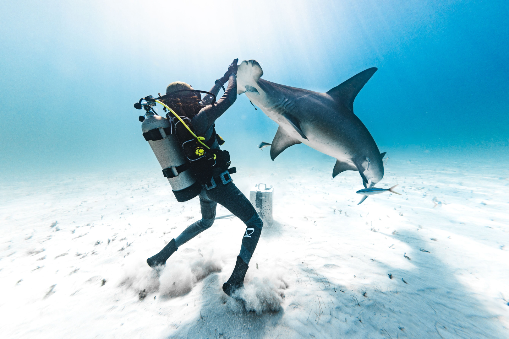 Shark Stop Australia Pty Ltd - Fear Less | Shark Bite Resistant Wetsuits