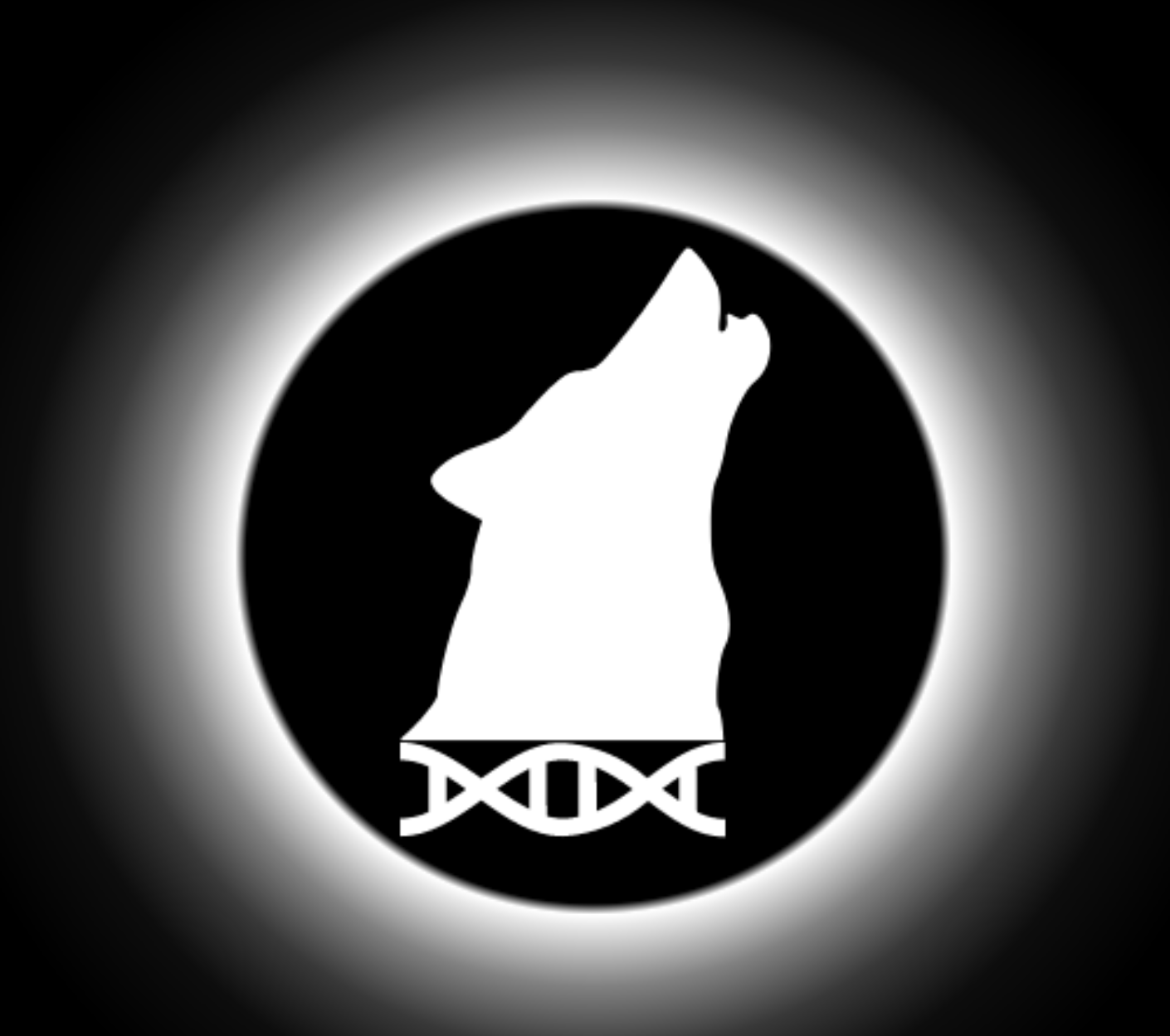 Private Discord Server: FREE - Landing Page