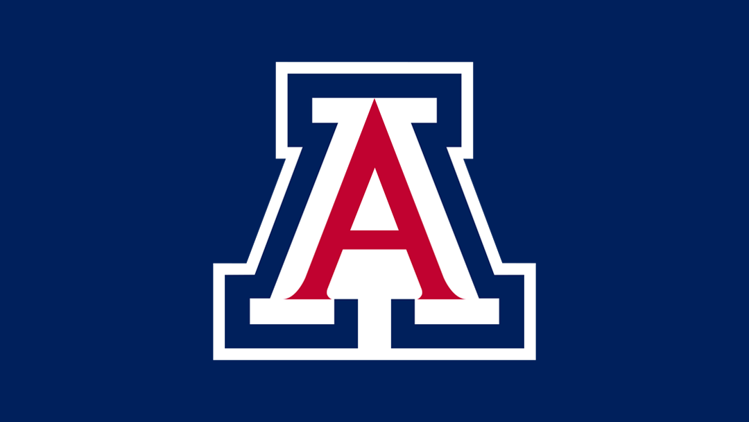 Snag Delivery - Landing Page