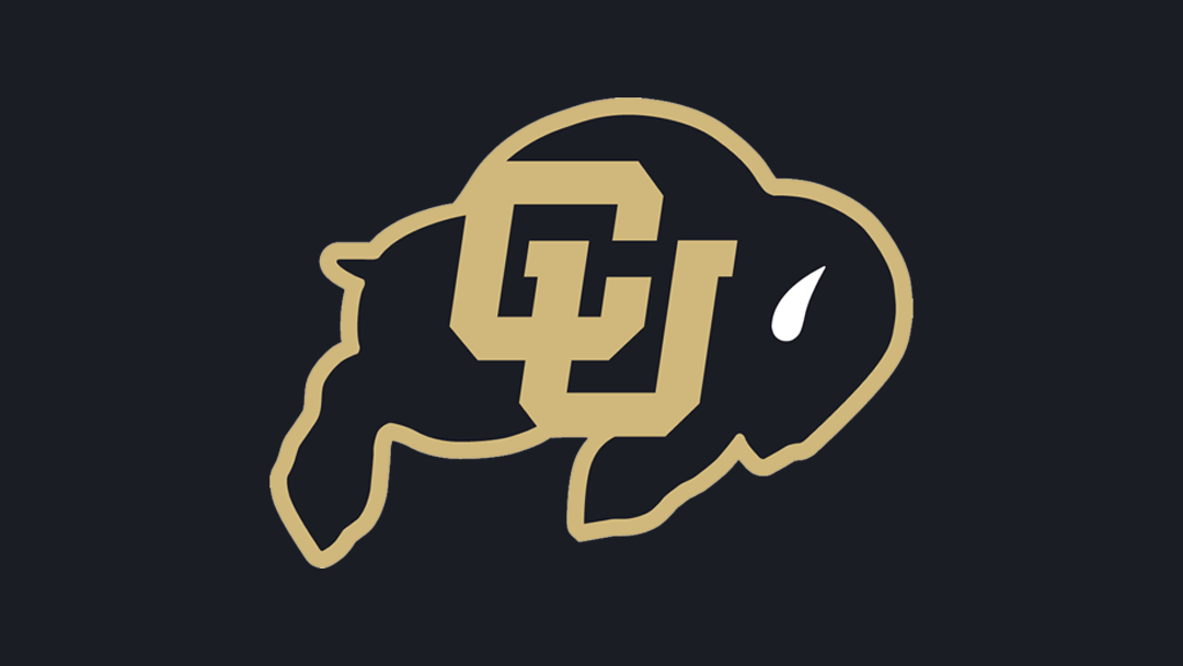 Snag Delivery - Landing Page