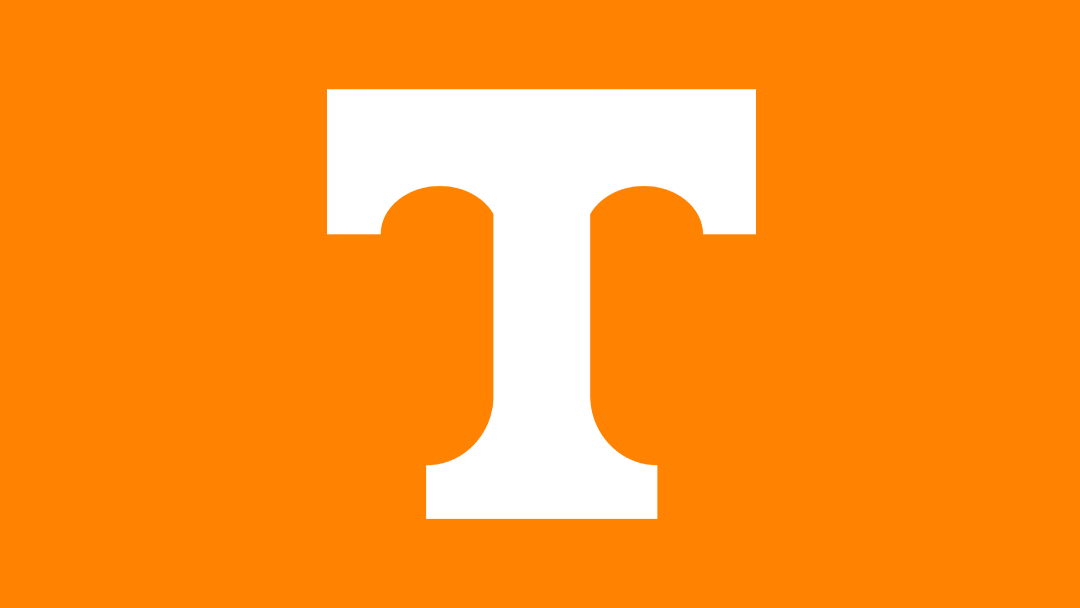 Snag Delivery - Landing Page