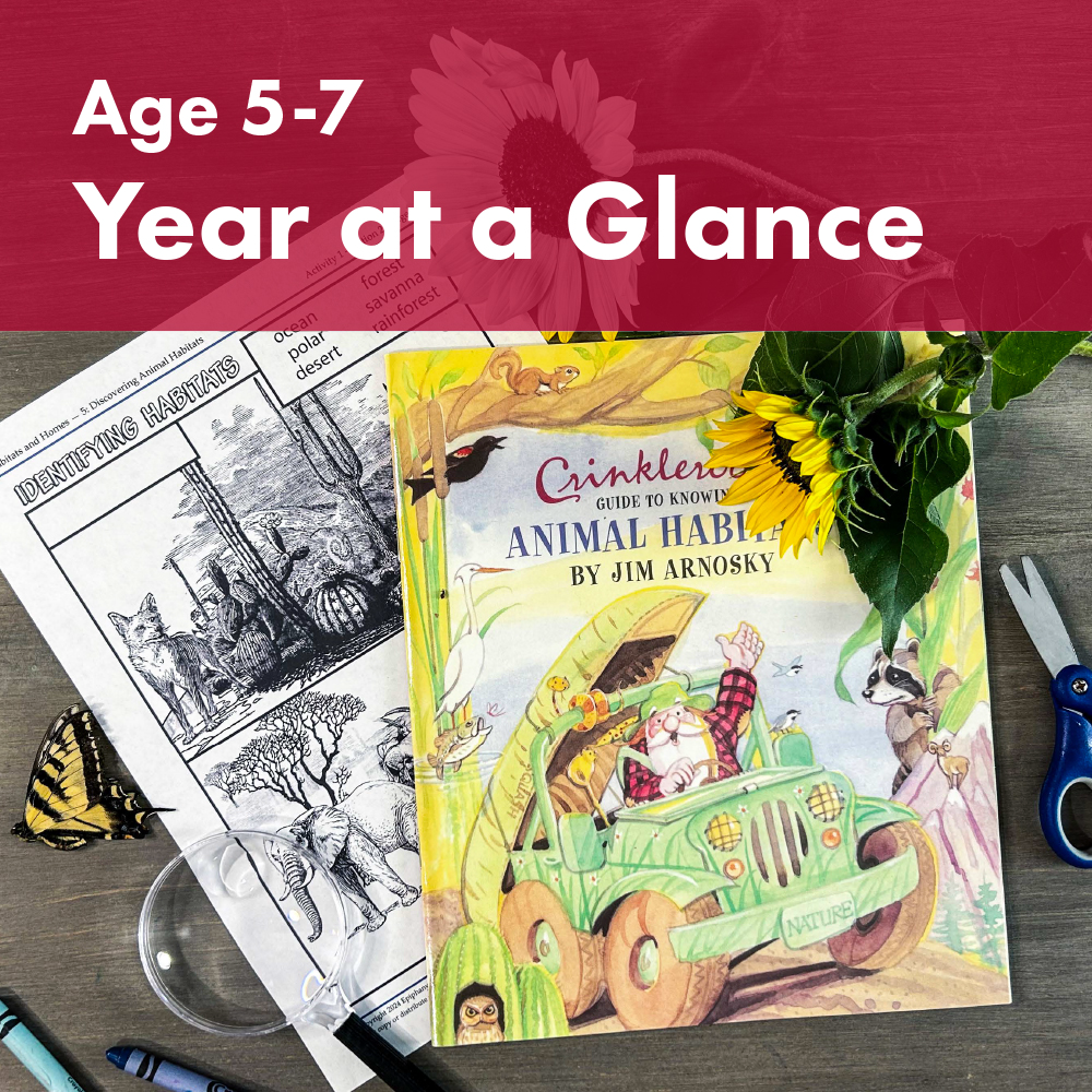 Moving Beyond the Page - Landing Page