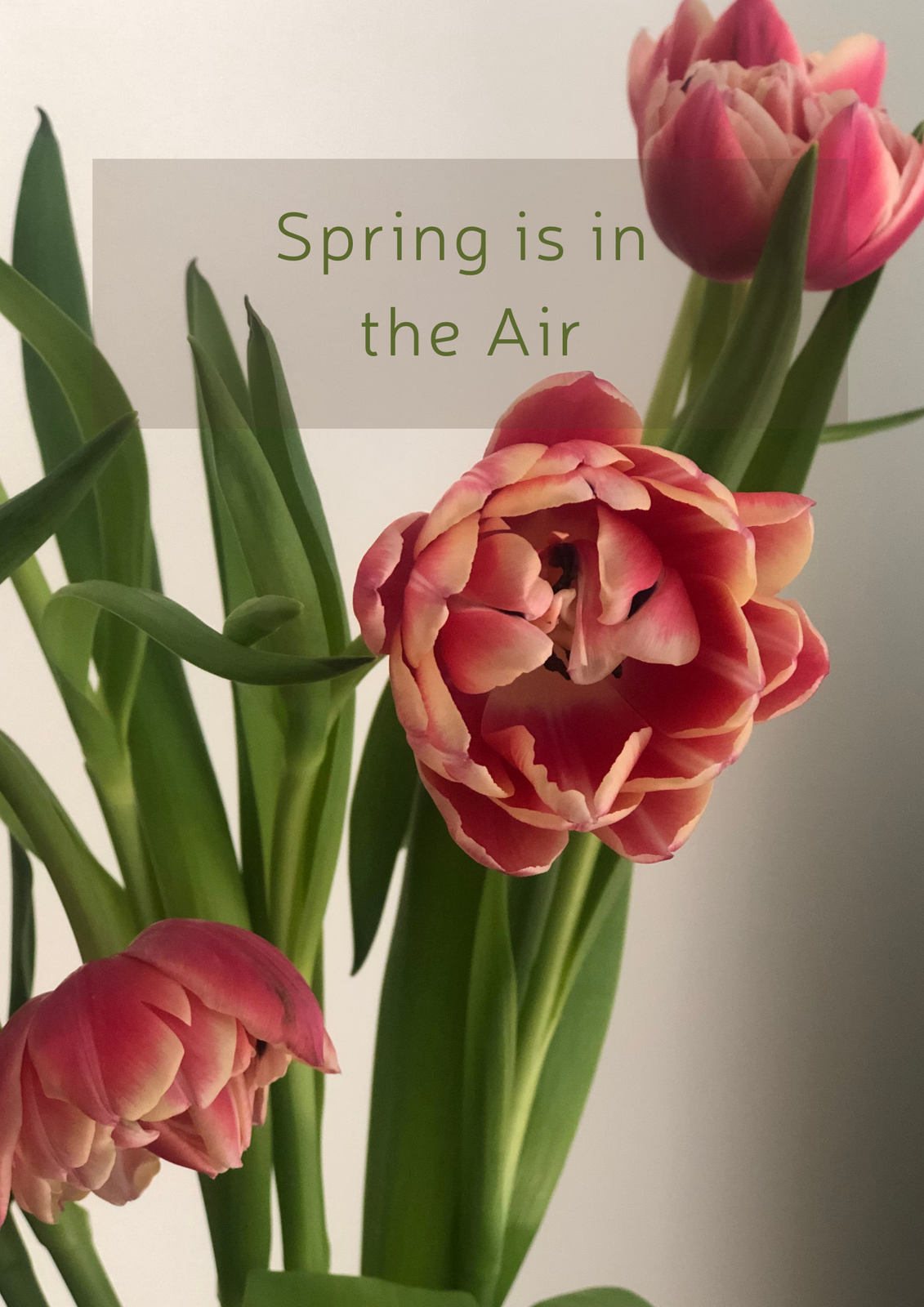 My favourite yoga class plus Introduction to Chair Yoga - new class ...