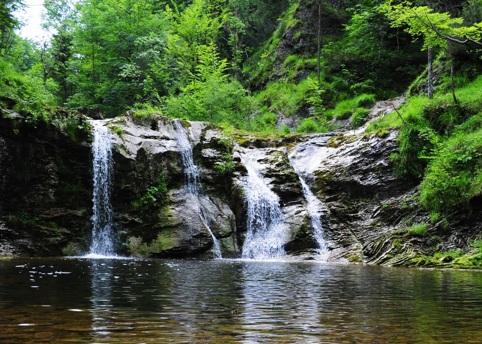 Going Upstream by Chang Park